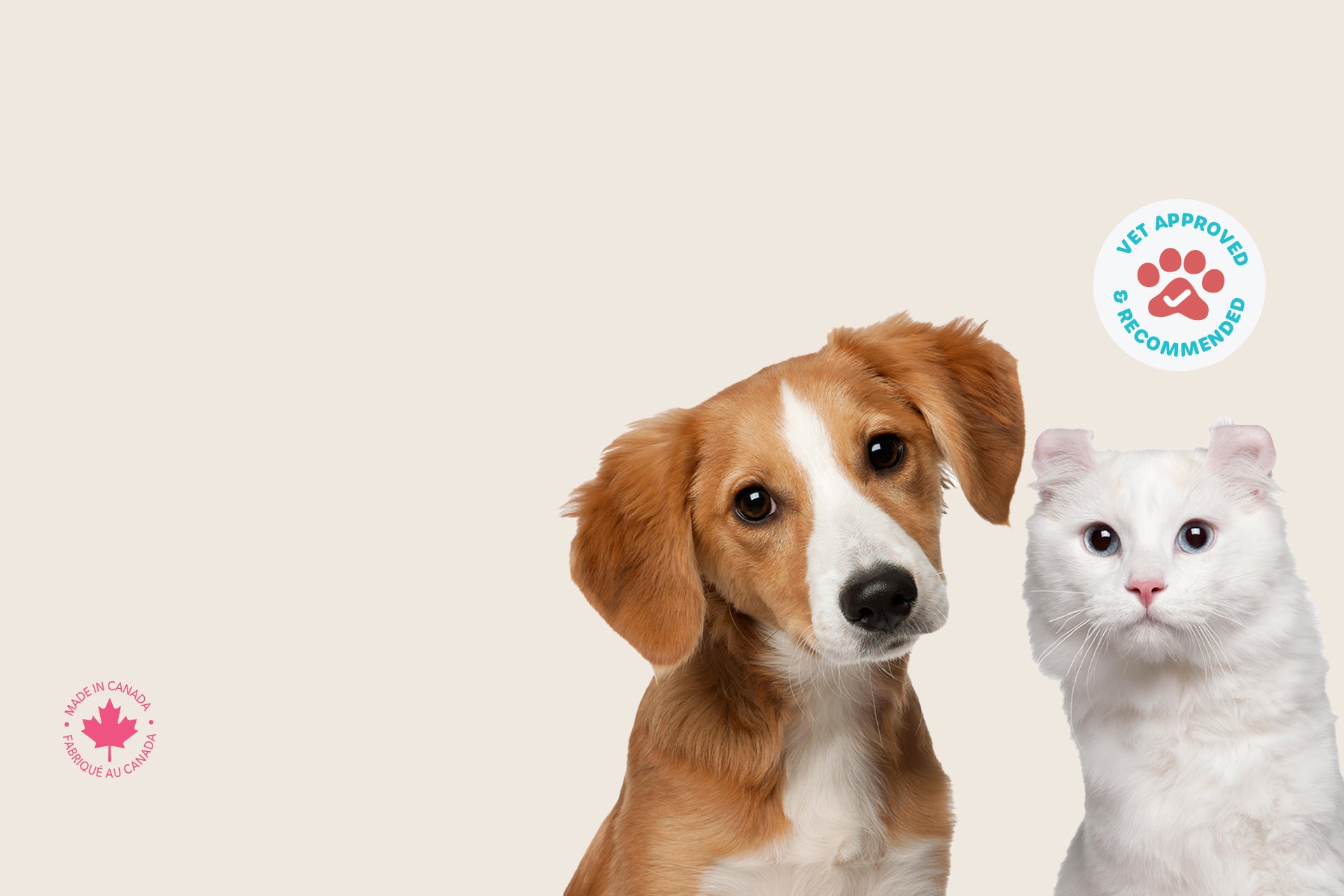 Pet's #1 Kidney Health Test for At-Home Use | Kidney-Chek – Kidney Chek